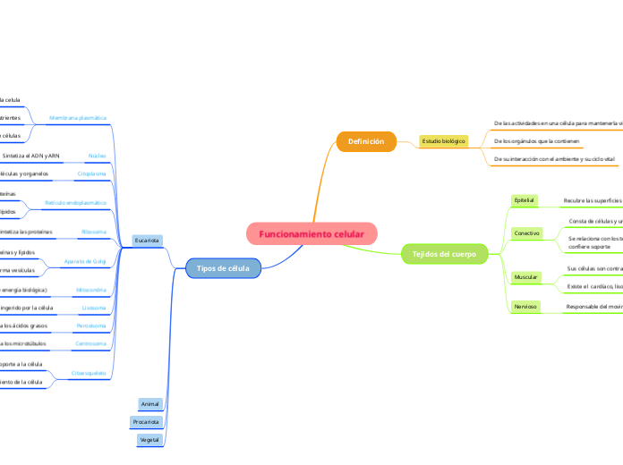 Funcionamiento celular - Mind Map